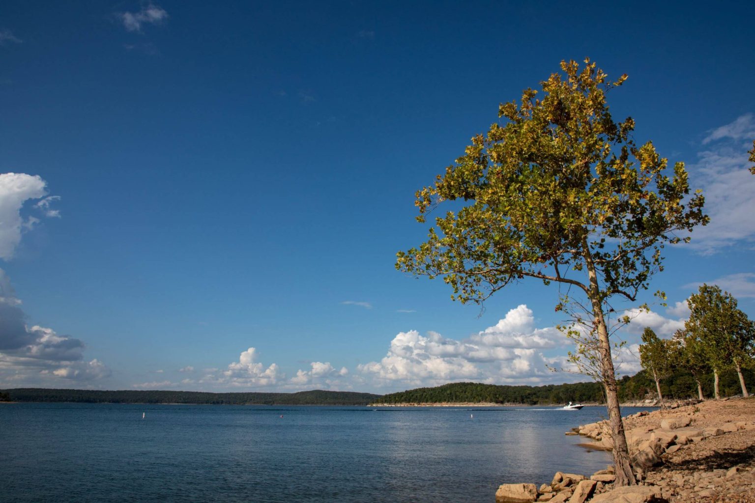 Oklahoma State Parks: Pine Trees, Sand Dunes, & Caves | It's A Joyous ...