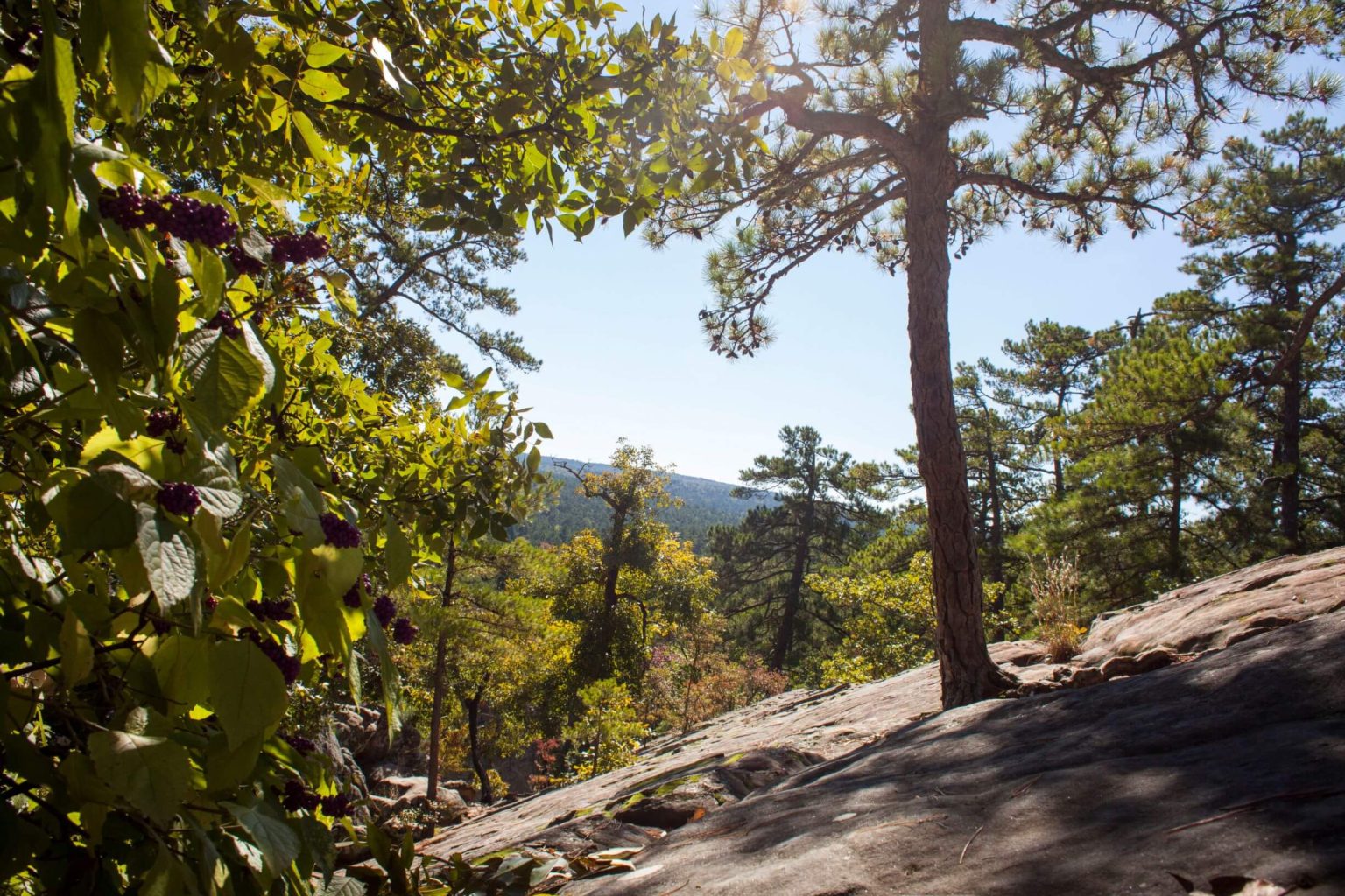 Oklahoma State Parks: Pine Trees, Sand Dunes, & Caves | It's A Joyous ...