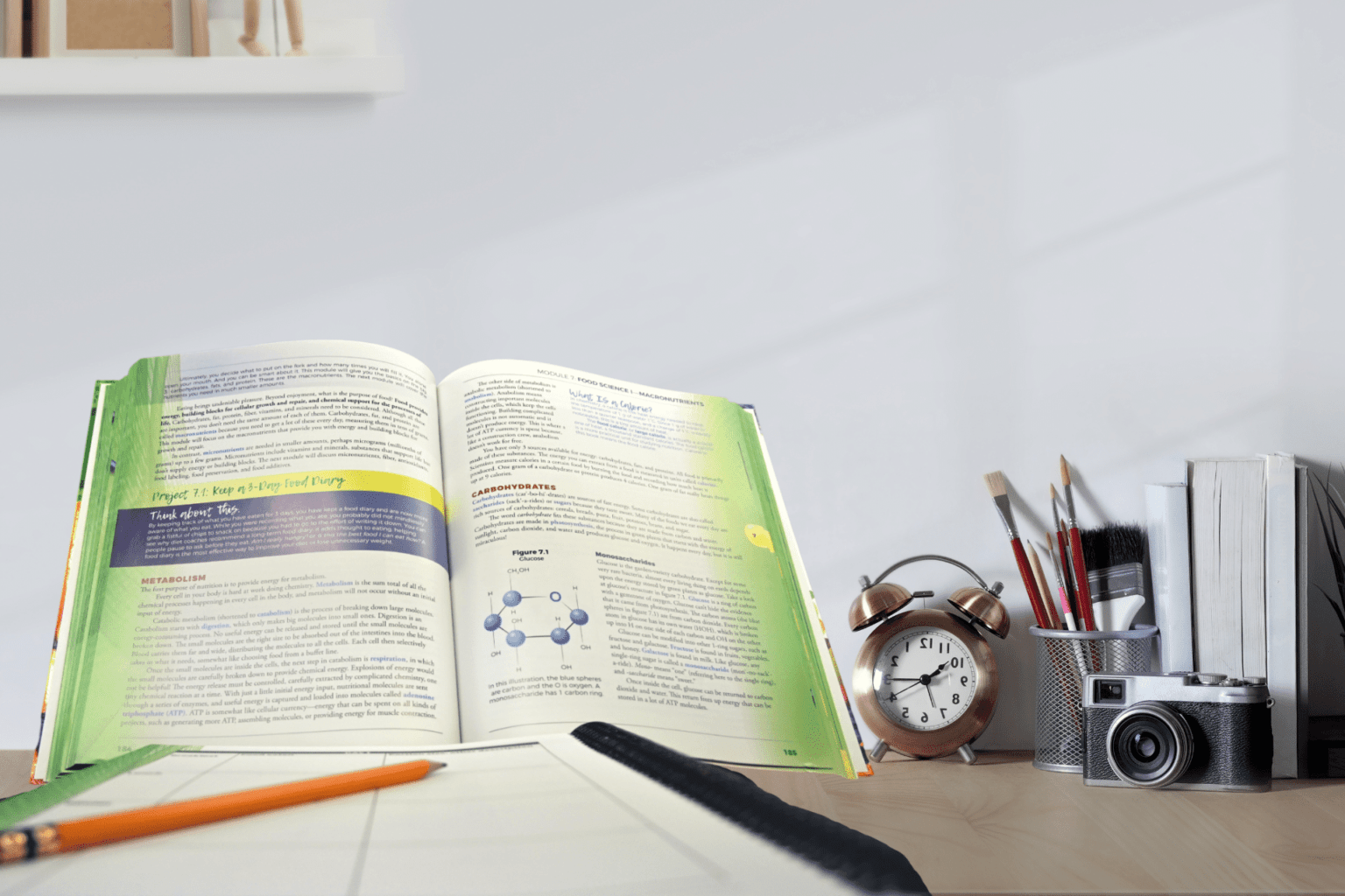 Homeschool High School-Apologia Health and Nutrition | It's A Joyous ...